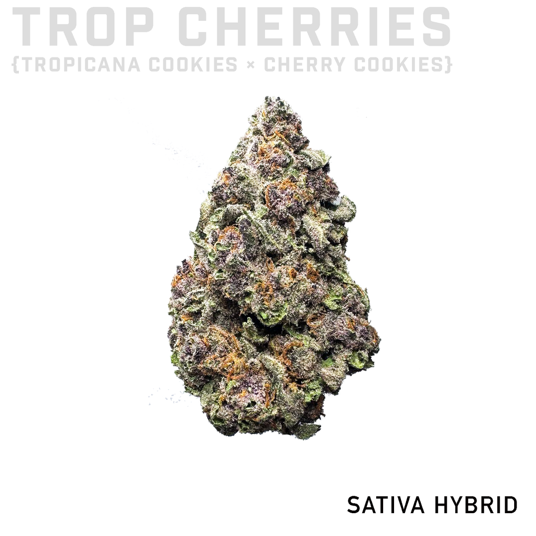 THCa Flower – CC