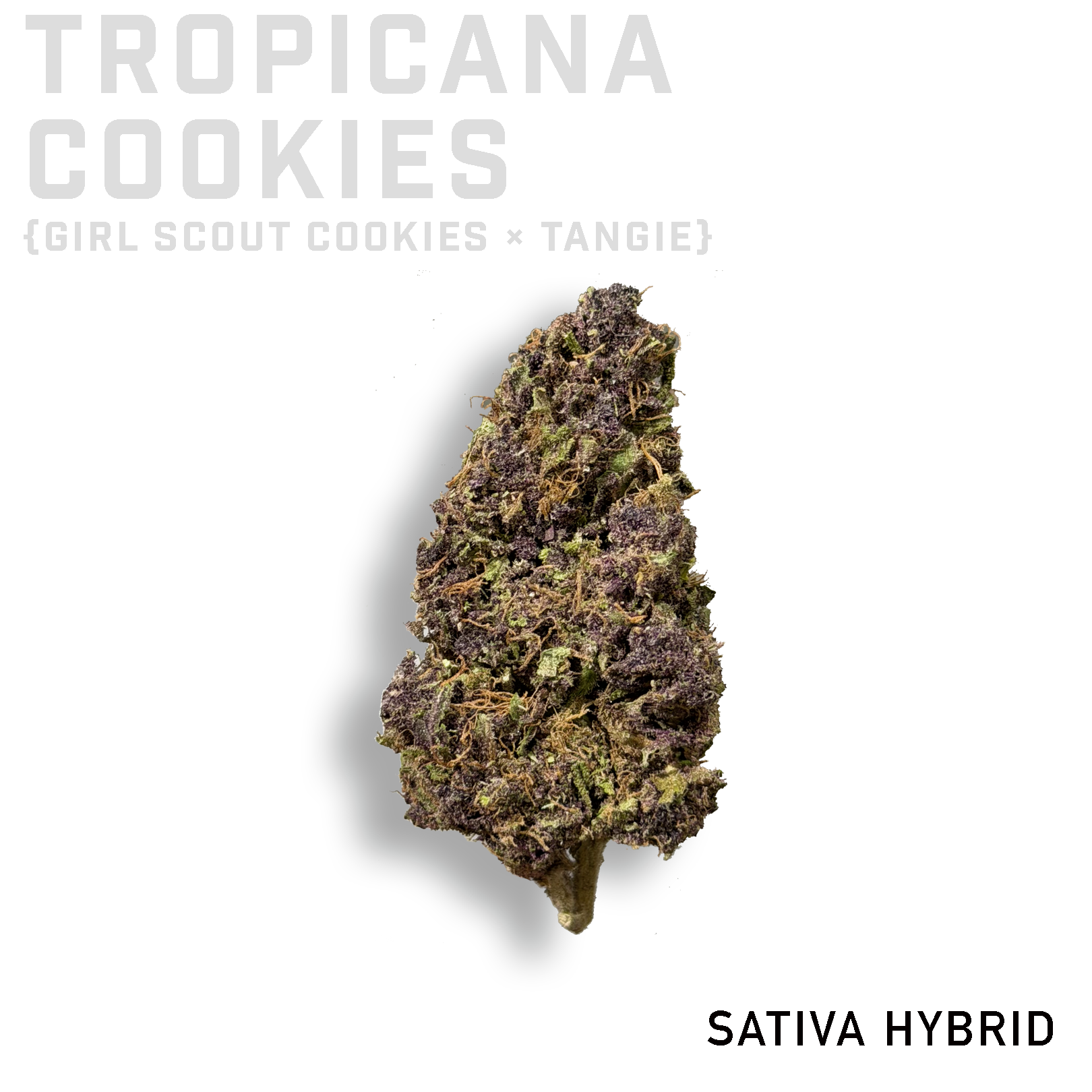 THCa Flower – CC